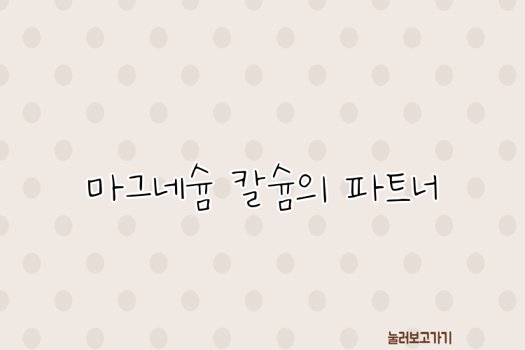 칼슘 마그네슘 비타민 D의 조화 뼈 건강을 위한 완벽한 조합