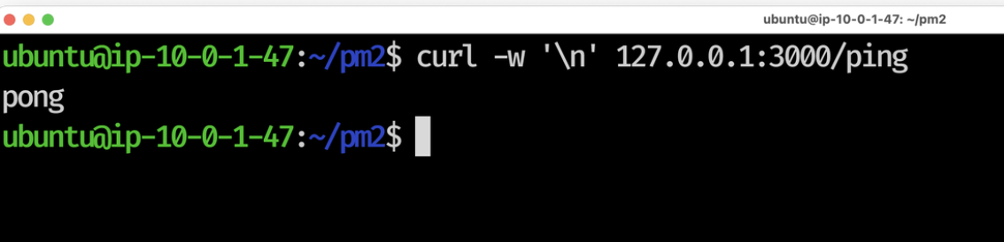 [AWS] EC2 _ 5) [Node] PM2를 활용한 프로세스 백그라운드 실행