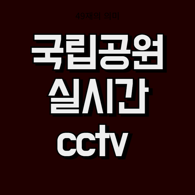 국립공원 실시간 Cctv 실시간 영상보기