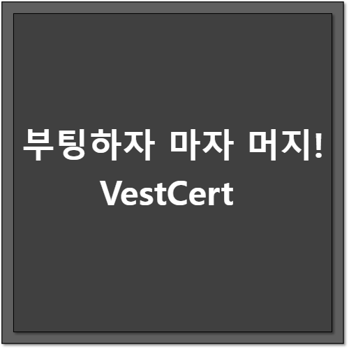 부팅하자 마자 머지! VestCert 무슨 프로그램인지 알아보았습니다.