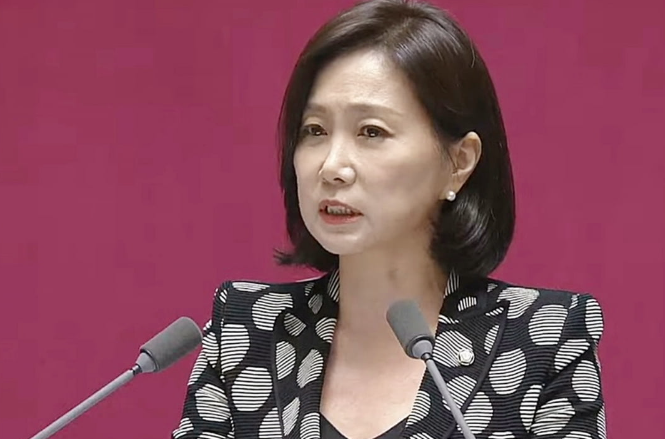 허은아 국회의원 프로필 남편 이준석 갈등 결혼 가족 개혁신당 대표 가처분