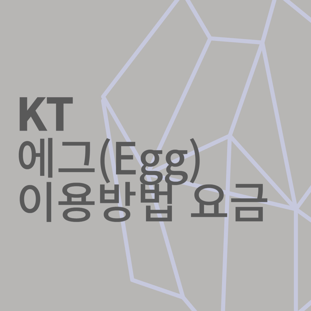KT 에그(Egg) 와이파이 공유기 요금제 비교 | KT 에그 로밍 서비스 이용방법 정리