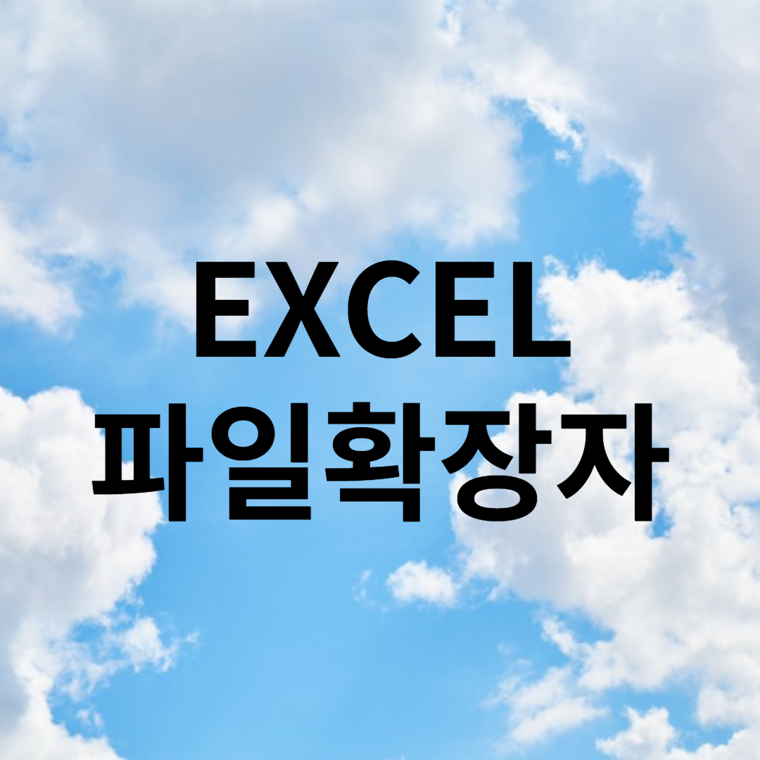 Excel 엑셀 파일 확장자 종류와 사용법에 대한 이해