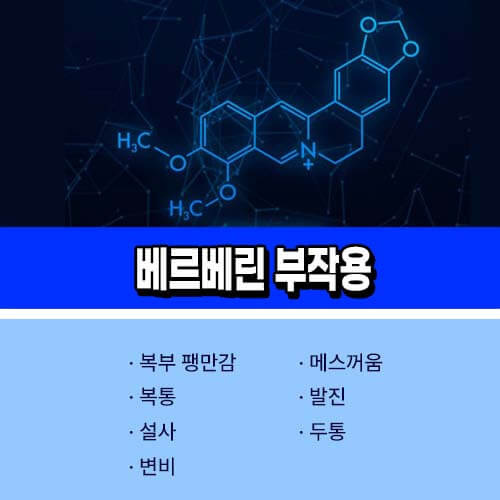 베르베린 Ampk효소활성화 효능 부작용 복용법 영양제 추천