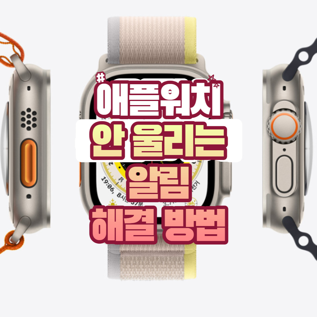 애플워치 안 울리는 알림 해결 방법