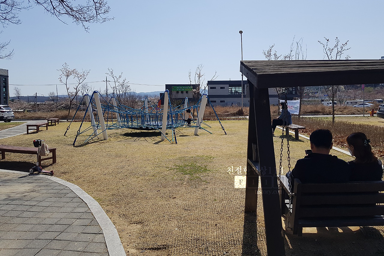 벚꽃놀이 명소 울산 언양 작천정 벚꽃길 Plus 벚꽃개화시기ㅣ주변카페정보