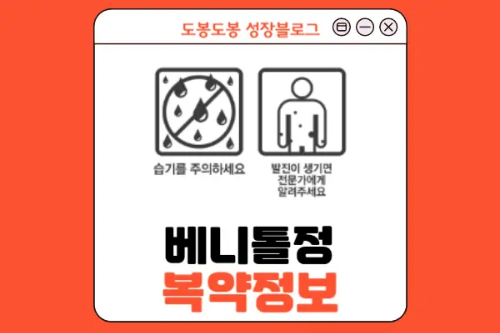 베니톨정 리뷰 효능 부작용 가격 총 정리