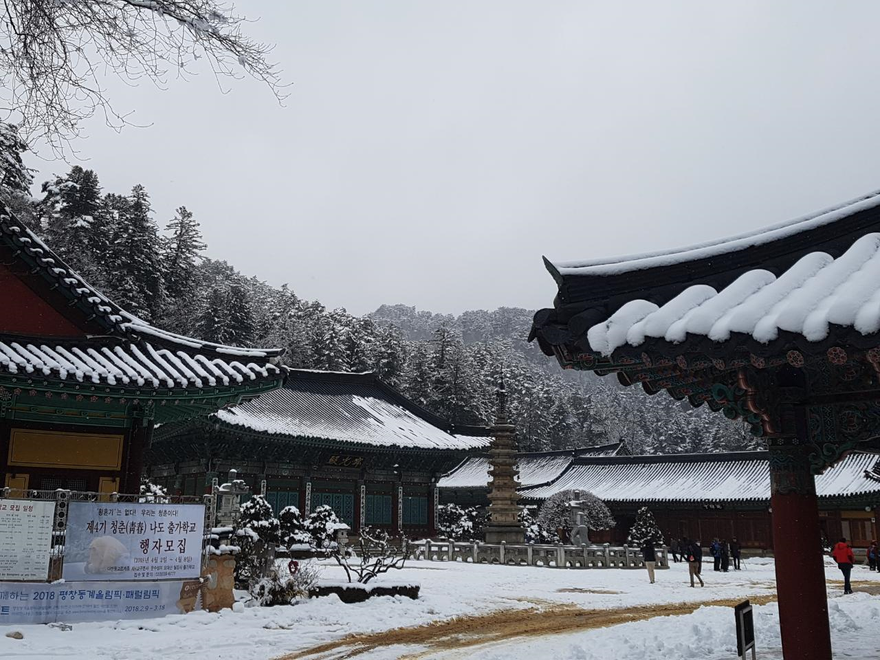 강원도 가볼만한곳 평창 오대산월정사 입장료와 템플스테이 예약방법
