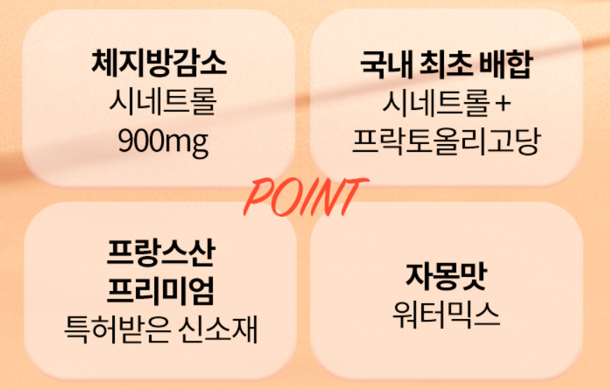 나이트버닝 팻버닝 와일드버닝 차이 푸응 다이어트 총정리