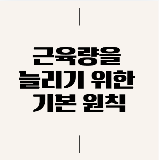 여자 근육량을 효과적으로 늘리는 방법 근력 향상과 건강을 위한 운동법