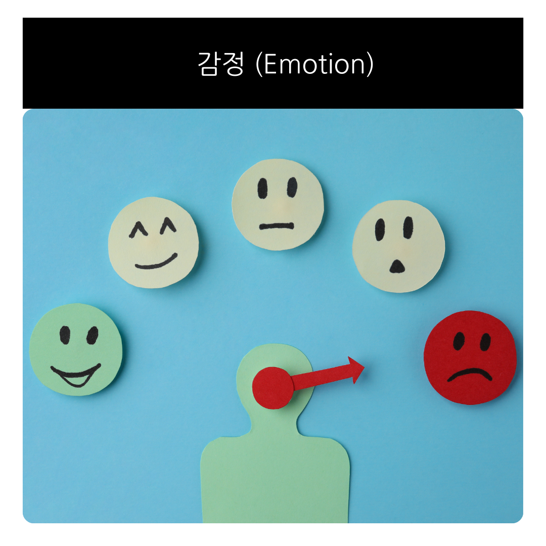 심리학용어 감정 Emotion 이란