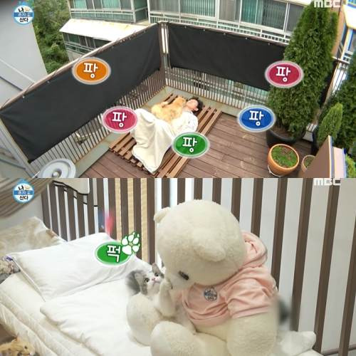 나혼자 산다 살찐 코드 쿤스트 먹방 시청률 상승