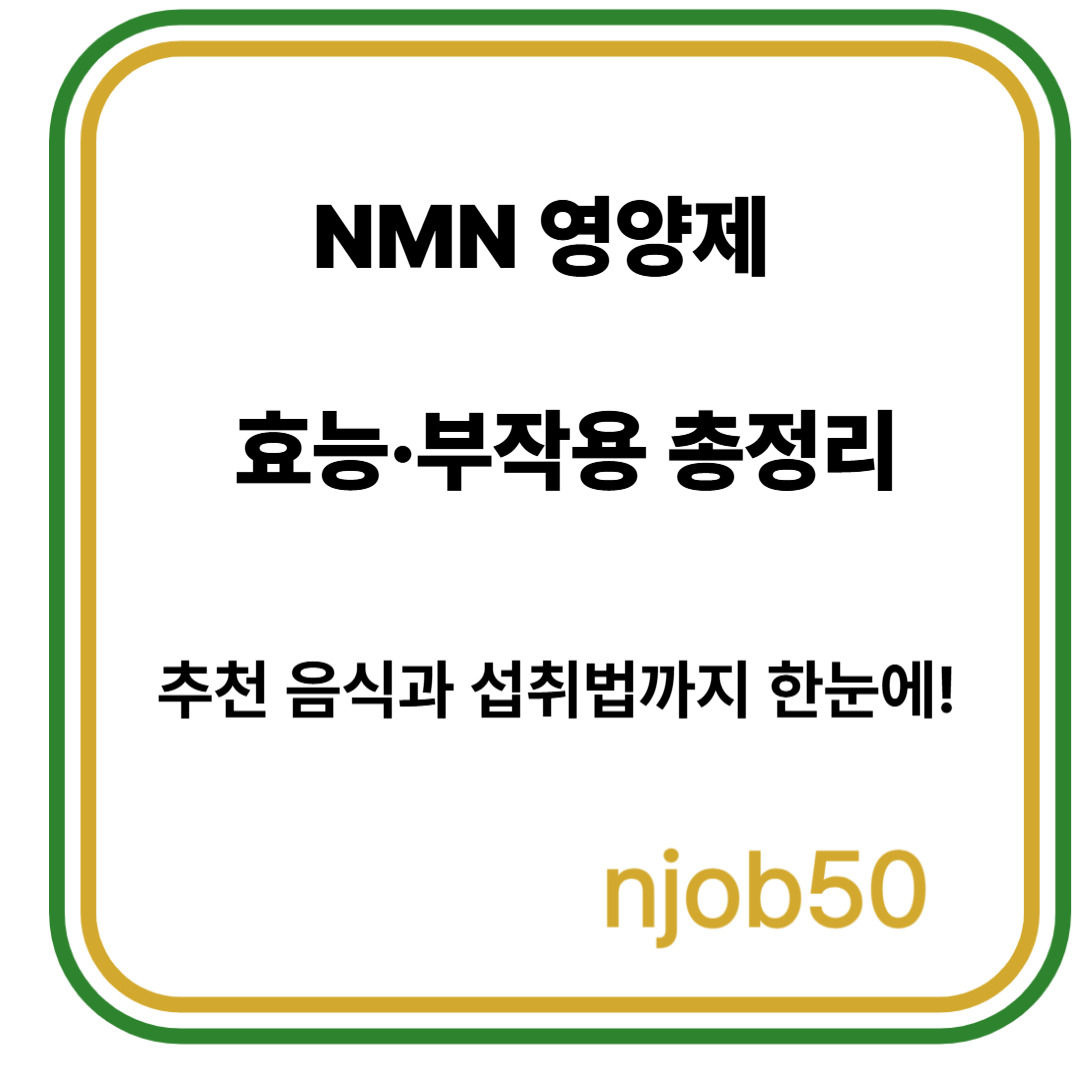 Nmn 영양제 효능·부작용 총정리 추천 음식과 섭취법까지 한눈에