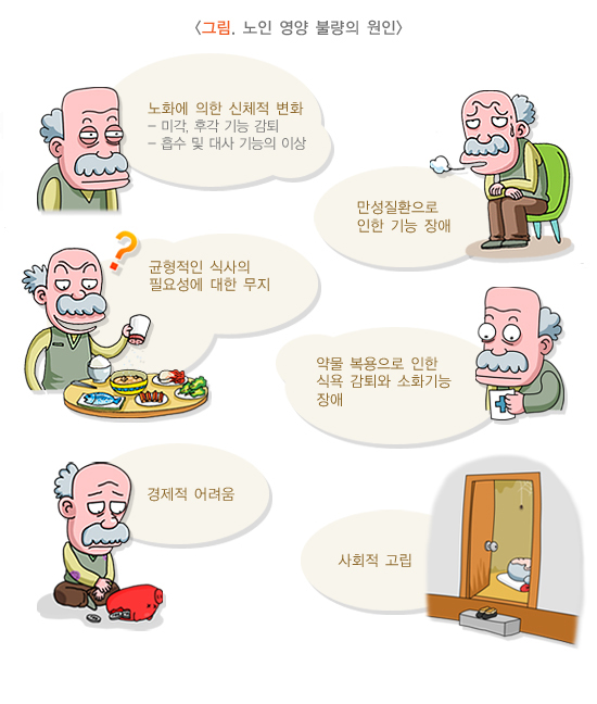 노인의 영양관리 이렇게하세요