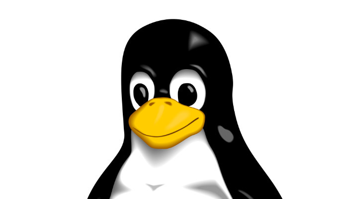 [Linux Kernel] Deferrable Functions