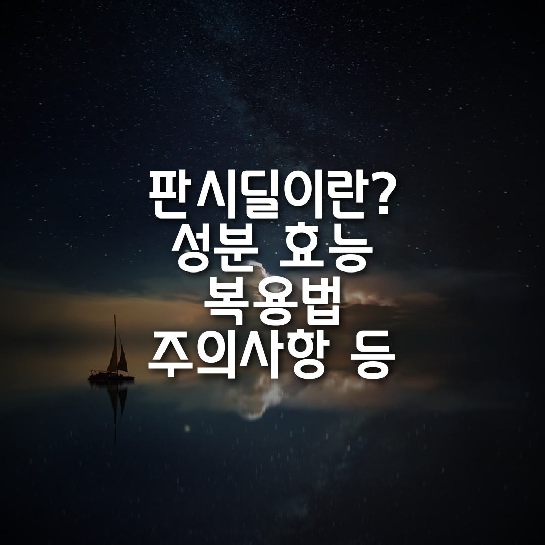 판시딜이란? 성분과 역할, 효능, 복용법, 주의사항, 부작용 총정리