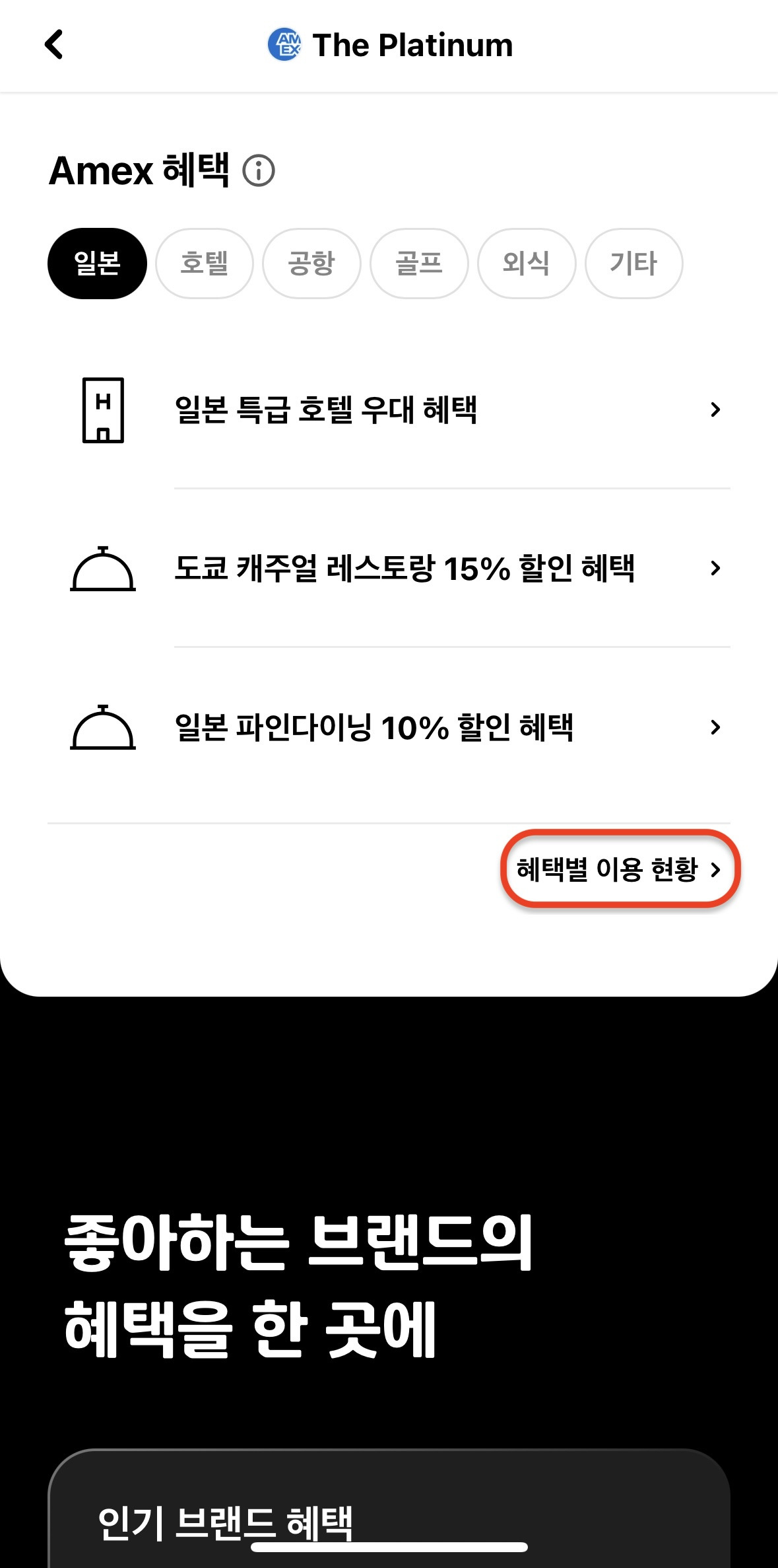 현대카드 아멕스 플래티늄 현아플