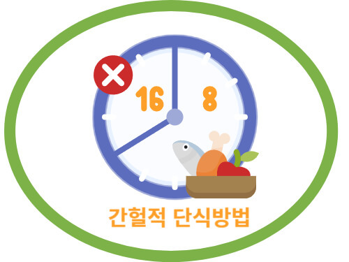 간헐적 단식의 효과와 문제점 적절한 대책