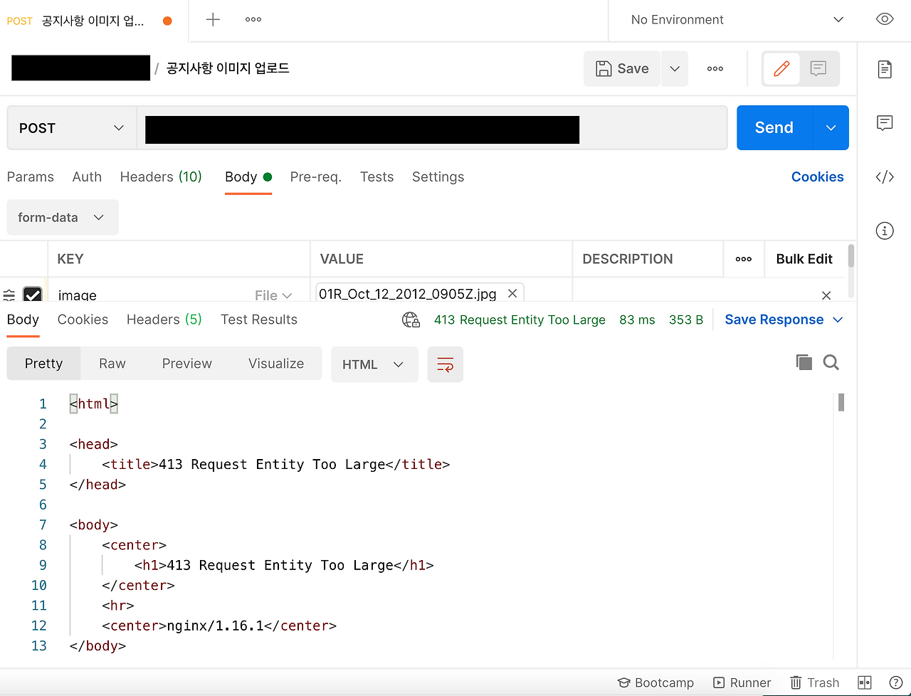 Nginx 413 Request Entity Too Large