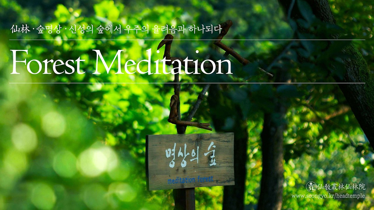 선교총림선림원 5월 신성법회 숲명상으로 선교수행문화 선도仙道 대중교화
