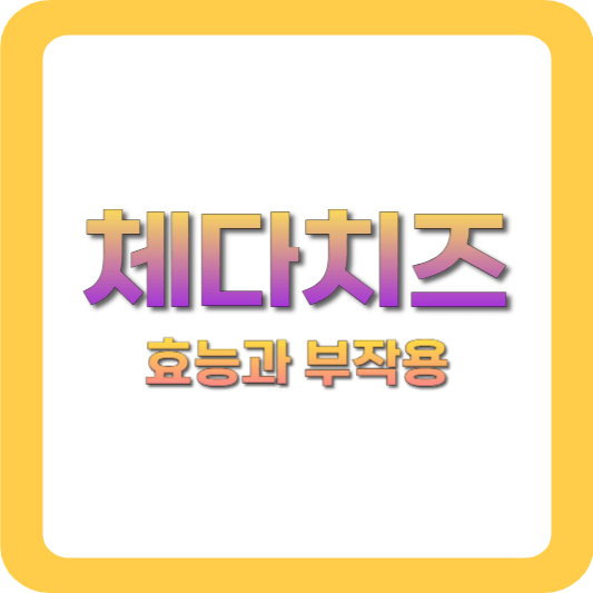 체다치즈 효능 부작용 총정리