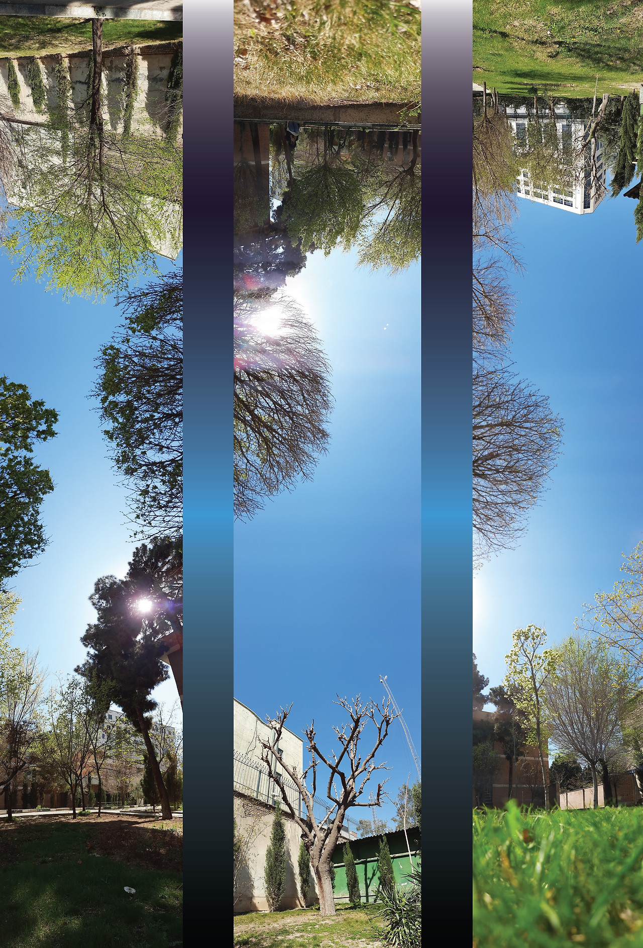 Mimesis, Tehran, Iran, 2024 Summer