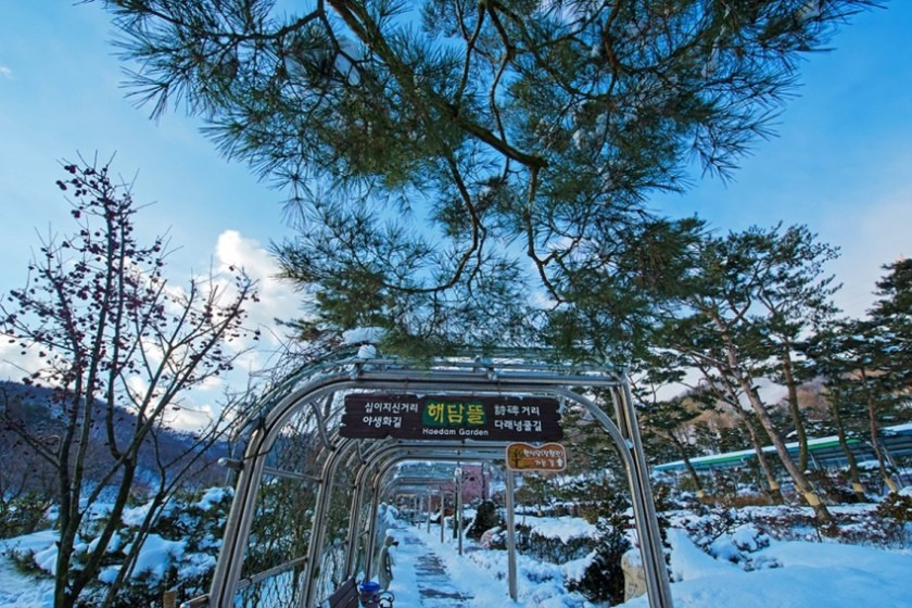 세종시 겨울 풍경 뒤웅박고을 세종전통장류박물관