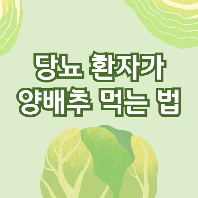 당뇨 환자 양배추 생으로 먹을까 삶아서 먹을까 혈당에 좋은 조리법은