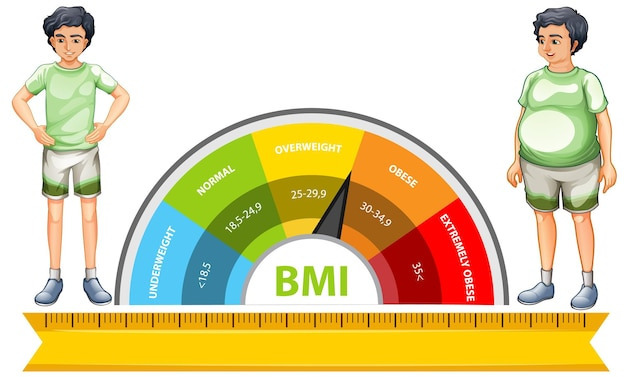 BMI 란? BMI의 뜻과 계산 방법, BMI 기준 및 범위