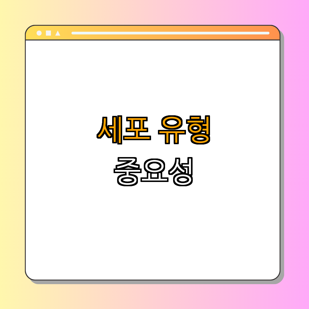 진핵세포와 원핵세포 비교하고 이해하기 핵심 차이점 분석 생명과학 탐구 두 가지 세포 유형 정리