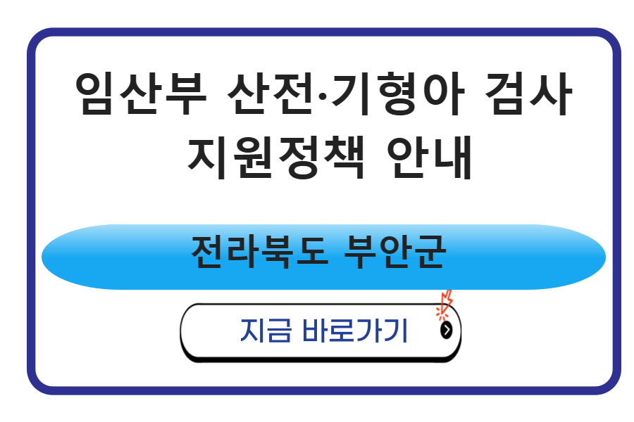 전라북도 부안군에서 시행하는 임산부 산전·기형아 검사 지원에 대한 정보 정부지원사업 알리미