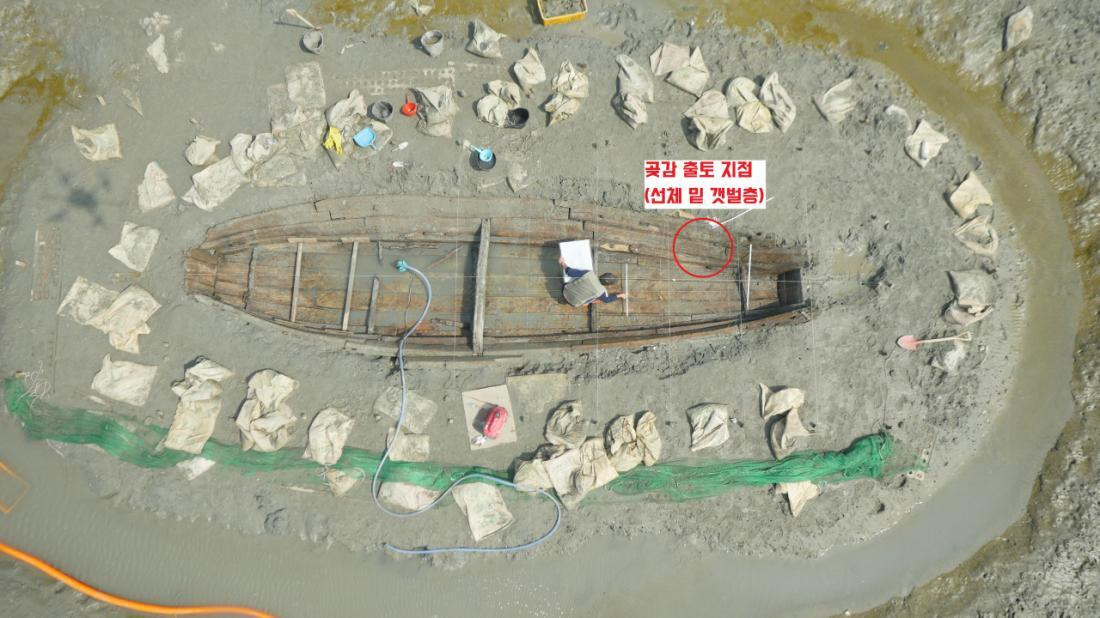 갯벌 속 고려선박 건졌더니 ‘800년 된 붉은색 곶감 꾸러미가 올라왔다