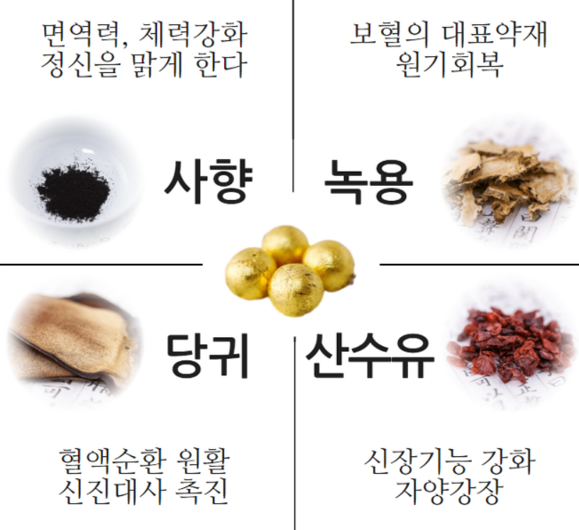 공진단 효능 복용방법 총정리