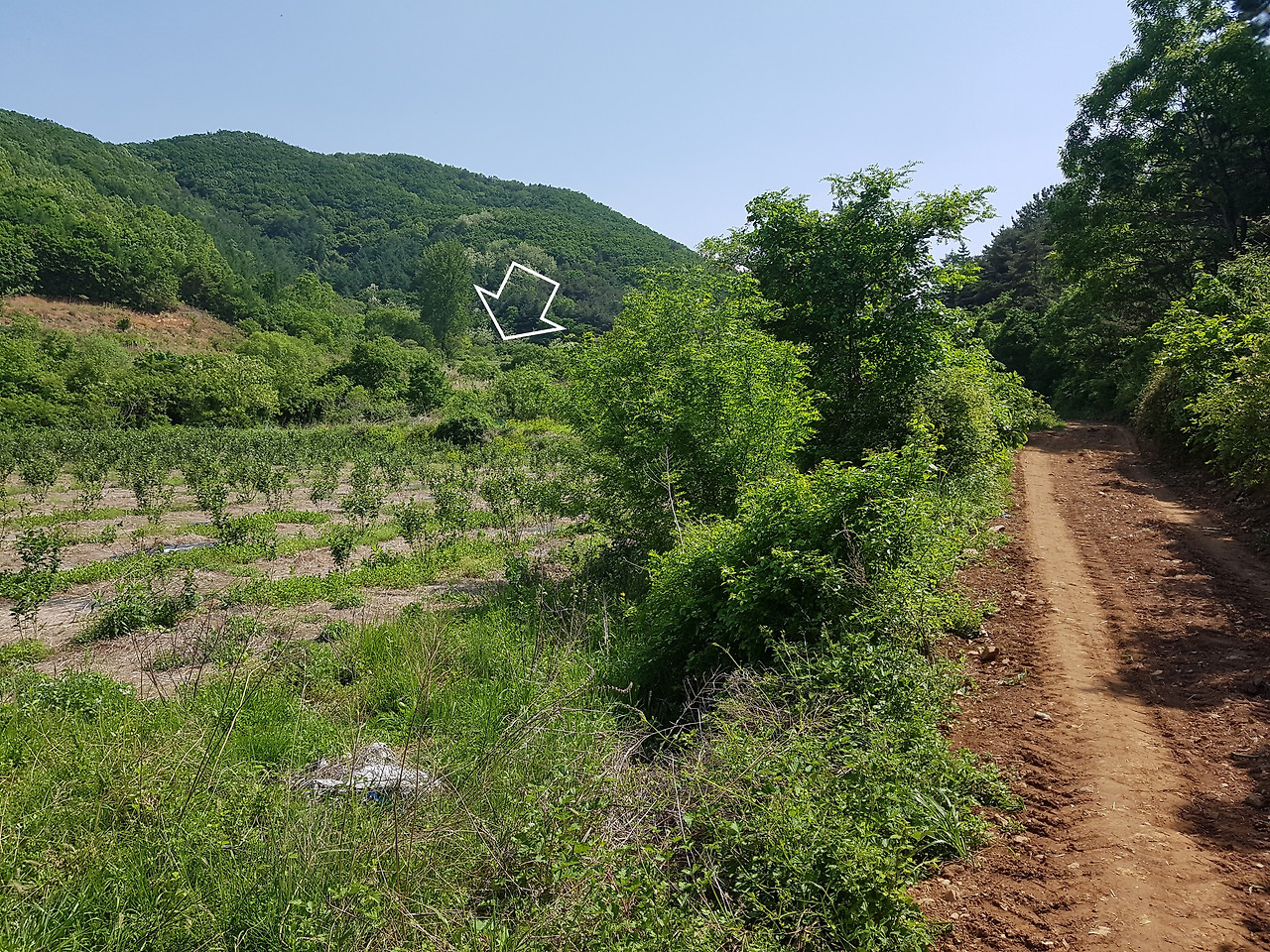 내남면 농지 오케이부동산 경북 경주시 내남면 안심리 안심2리 마을회관 근처 주말농장부지 생산관리 전 매매
