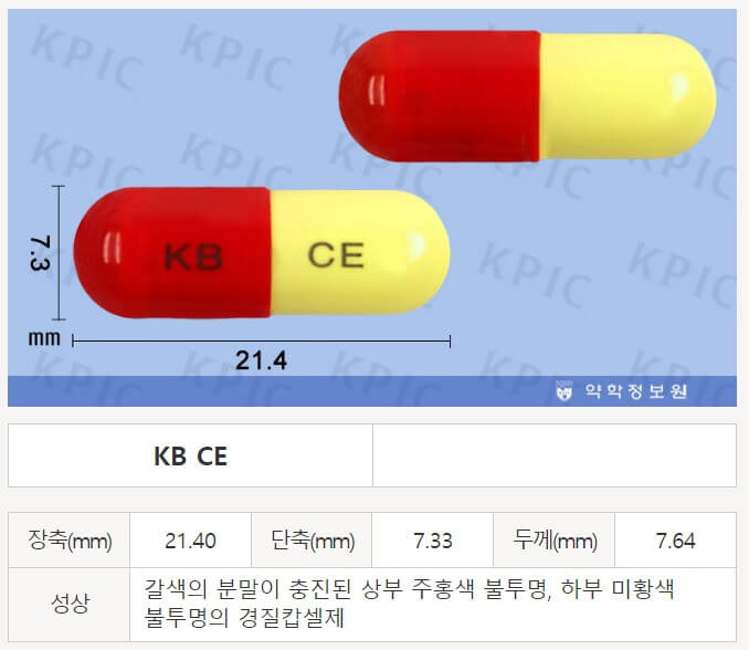 쎄파렉신 쎄파렉신캡슐 효능 효과 가격 성분 부작용 주의사항 감기약 팁허니