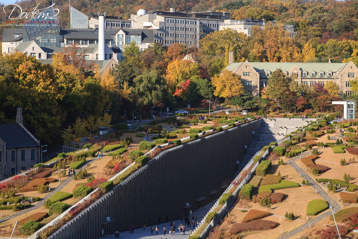 이화여대 ECC:이화여대 캠퍼스투어:이화여대 ECC 주변 맛집