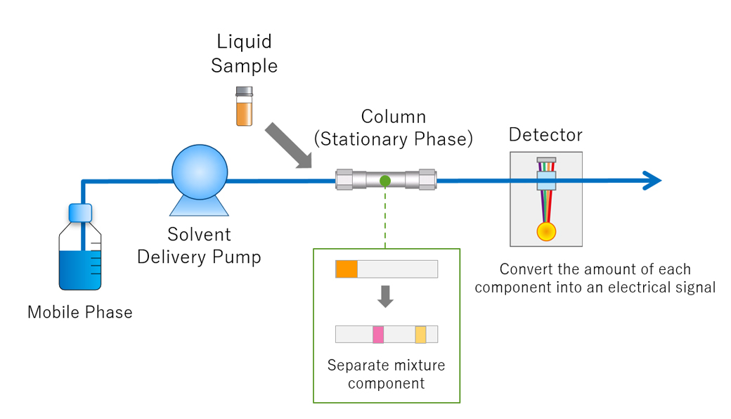 Chromatography 크로마토그래피의 원리와 종류 임상적 적용