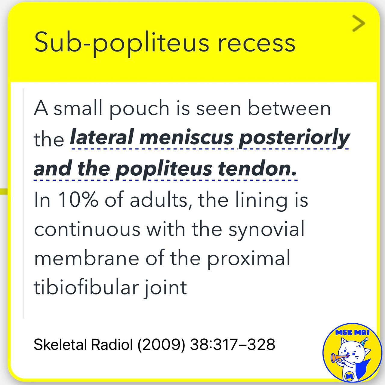 (Fig 4-D.14) Anatomical Knee Recesses: Part 2