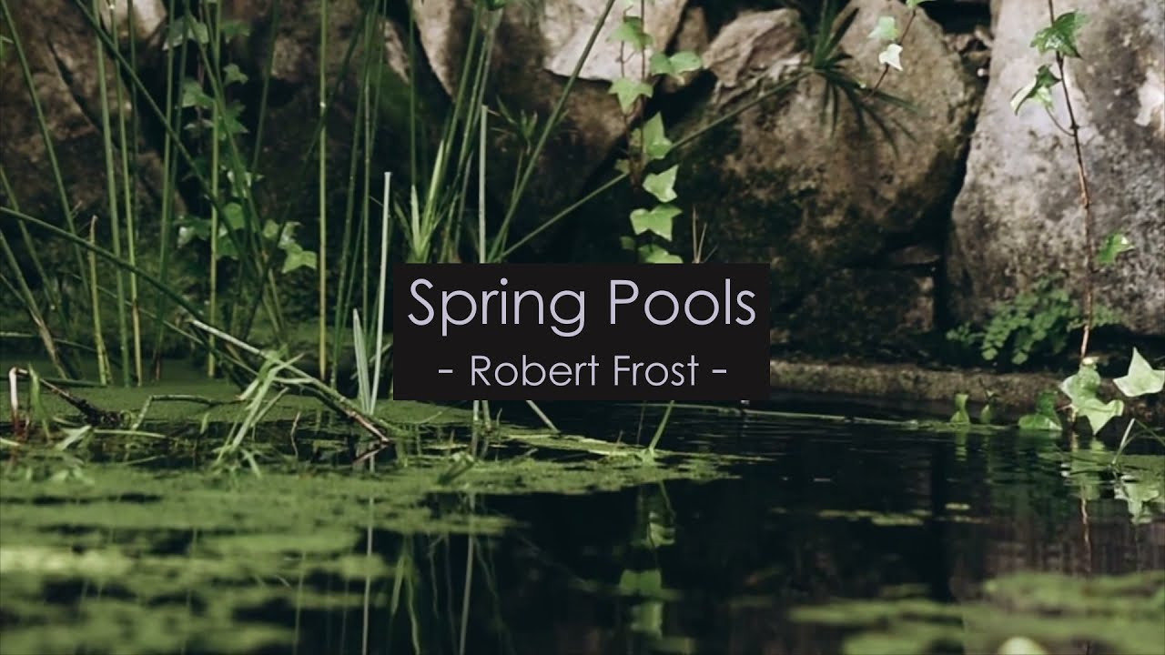 Spring Pools, Robert Frost, 봄의 물웅덩이들, 로버트 프로스트