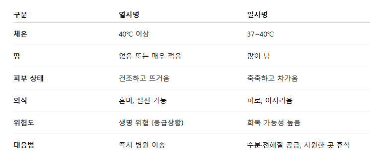 열사병 Vs 일사병 완전 정리 여름철 생명을 위협하는 두 질환의 차이와 증상 예방법