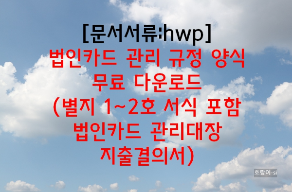 문서서류hwp 법인카드 관리 규정 양식 무료 다운로드 별지 1~2호 서식 포함 법인카드 관리대장 지출결의서