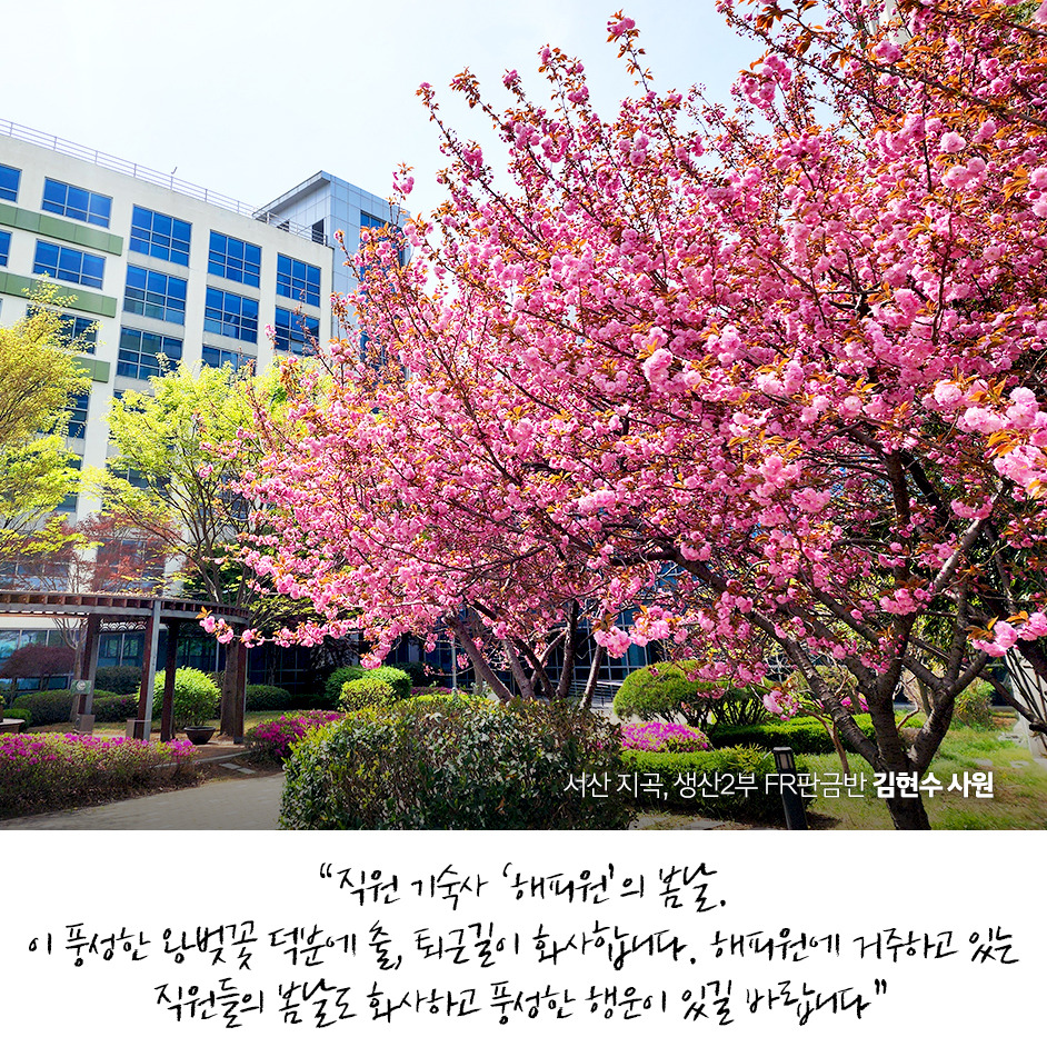 임직원들이 전하는 현대트랜시스의 봄