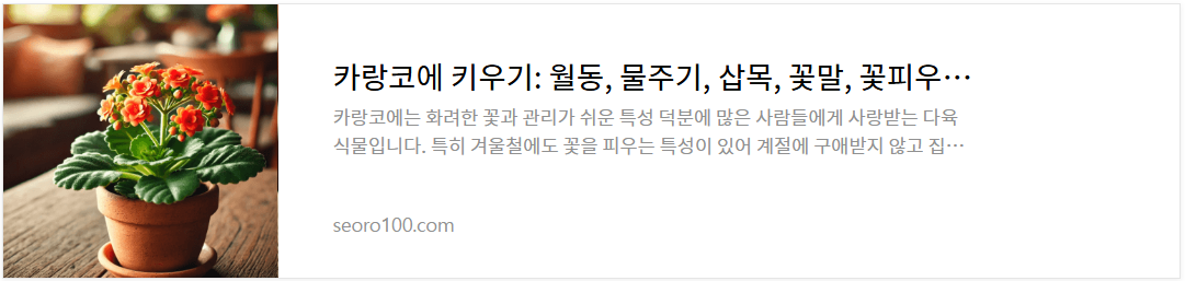 아마릴리스 키우기 종류 꽃 피우기 씨앗 번식 구근 관리 및 심기 노지월동 꽃말