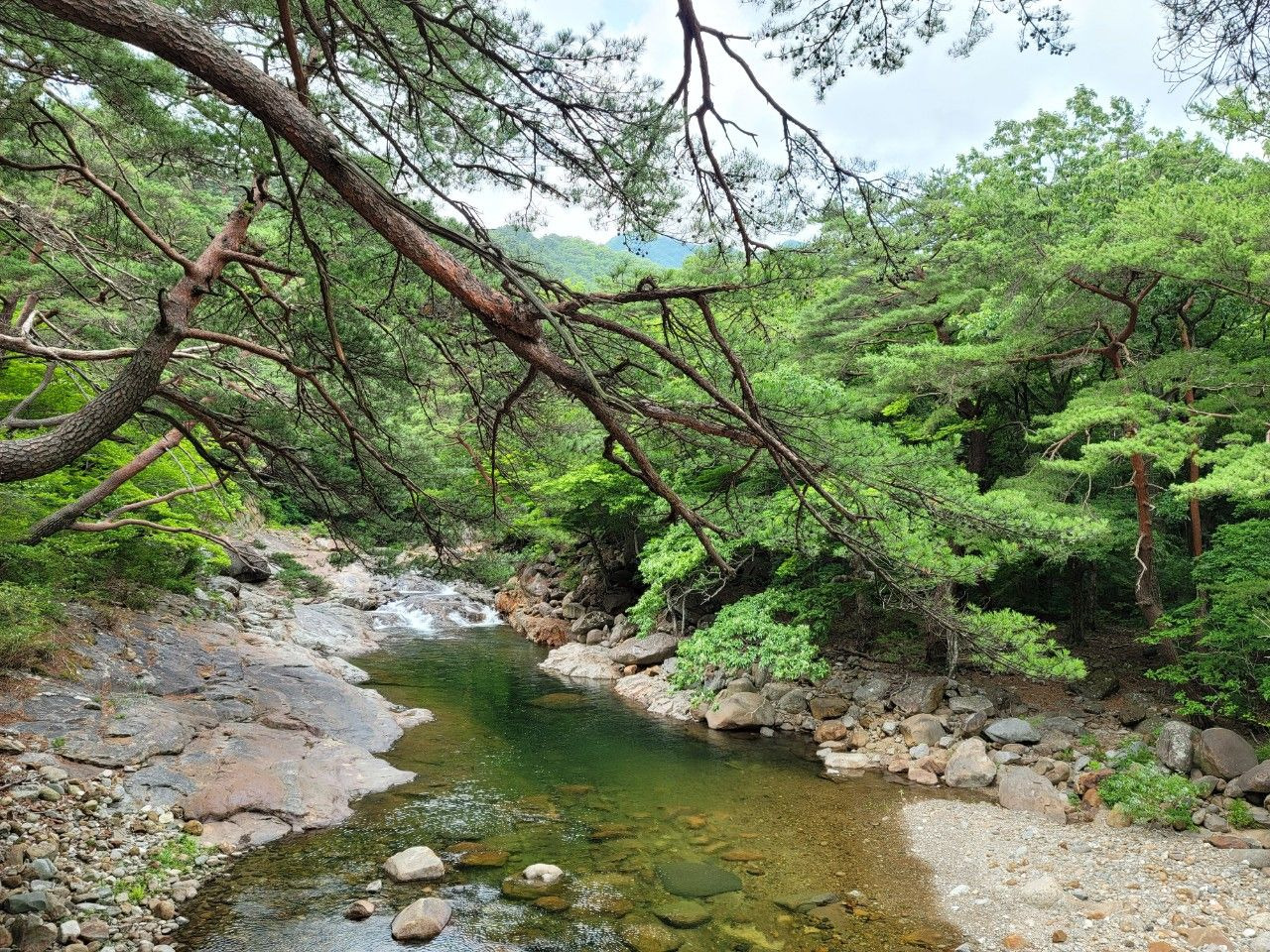 산청 가볼만한곳 지리산 대원사 계곡길, 유평마을코스 계곡 트레킹 추천 여행지