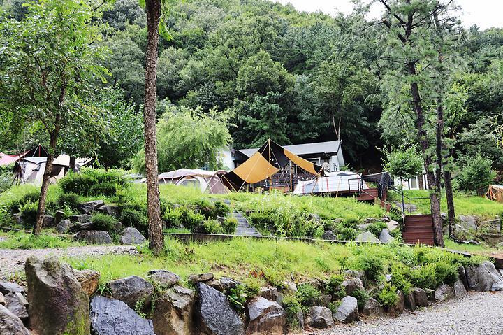 경기도 용인시 용인 자연숲 캠핑장 양지파인리조트 너머에 있는 산속 힐링 캠핑장