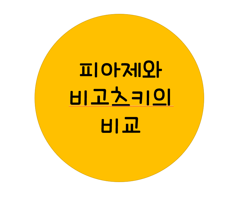 피아제와 비고츠키의 비교개인적 구성주의vs사회적 구성주의