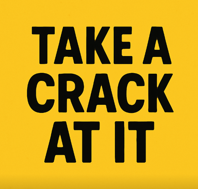 Take a crack at it – 한 번 도전해봐!