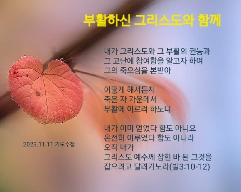 부활하신 그리스도와 함께 몬테소리 치유센터