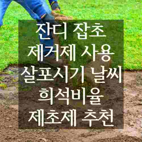 잔디 잡초 제거 제거제 사용 살포 시기 날씨 희석 비율 제초제 선택 방법 정리