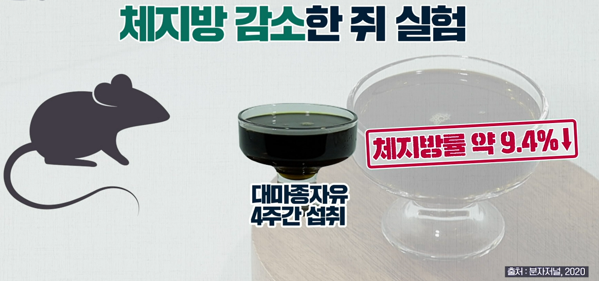 대마종자유 효능 가격 먹는방법 부작용 파는곳 추천 5분전 유용한 건강 요리 소식